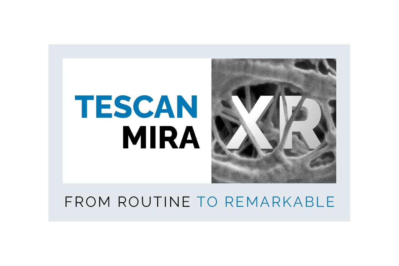 TESCAN MIRA XR SEM | Contract Laboratory