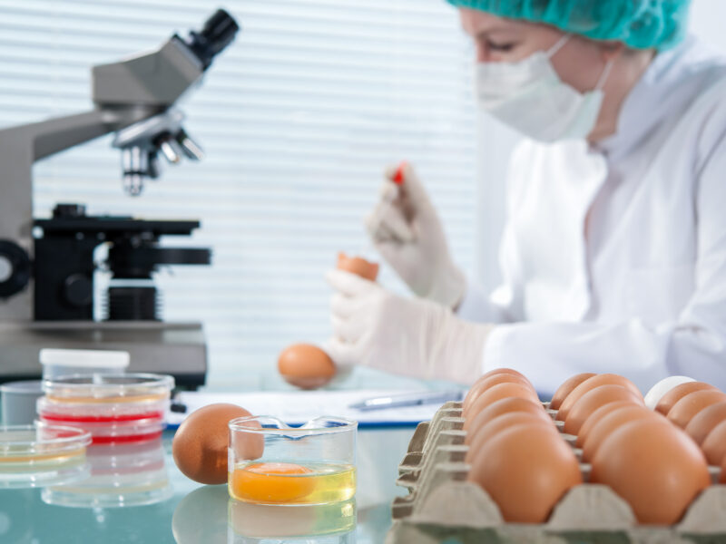 Home | Contract Laboratory