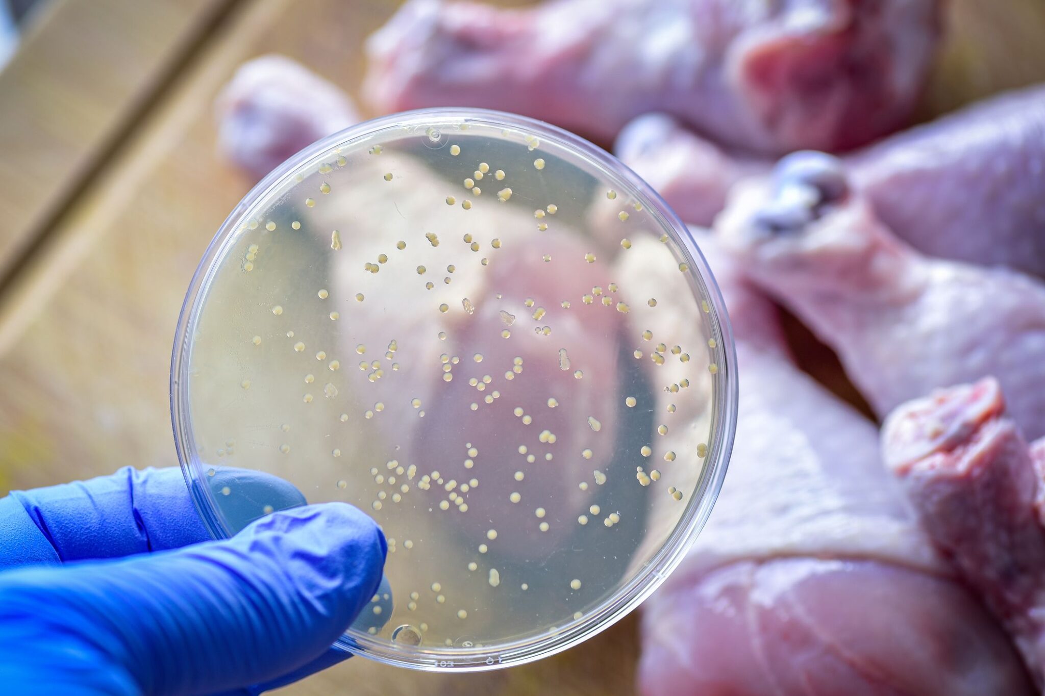 Understanding Kill-Step Testing in Food Safety: Ensuring Pathogen ...