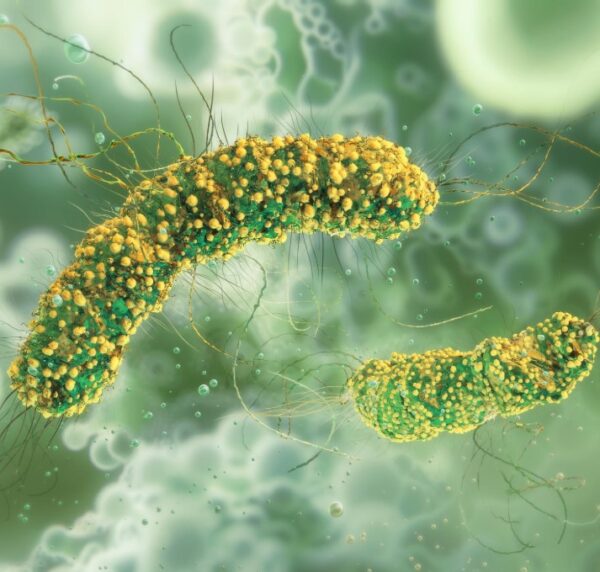 The Essential Guide to Microbiology Testing: Methods, Applications, and ...