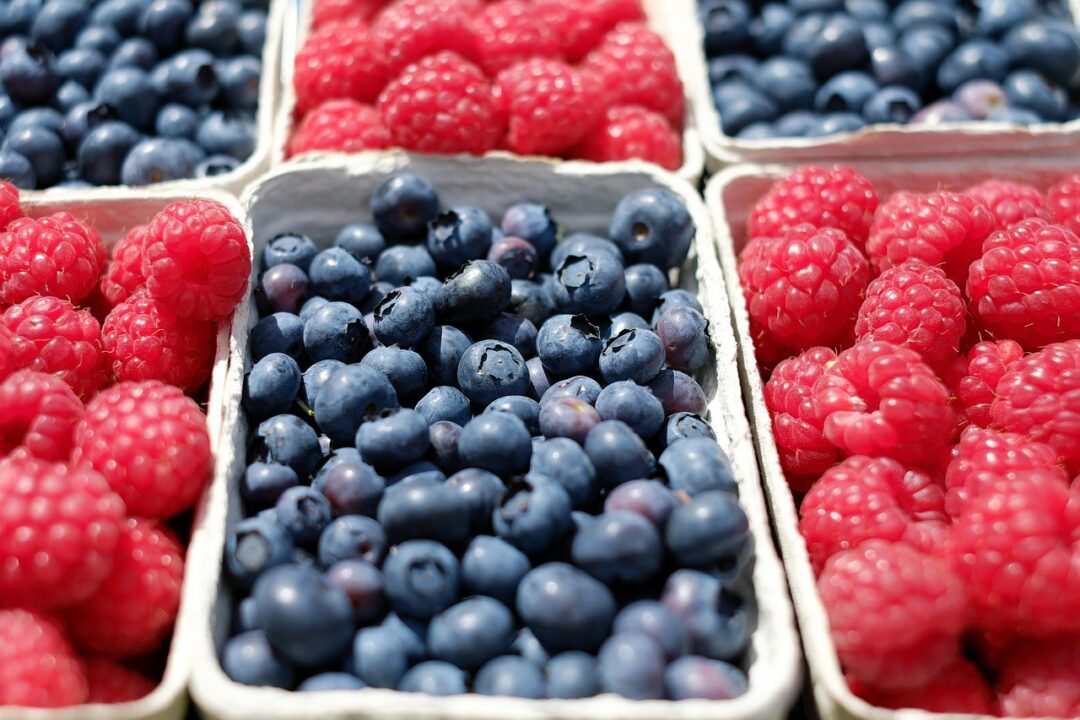 Shelf Life Testing of Fruits: A Laboratory Guide to Principles and Methods